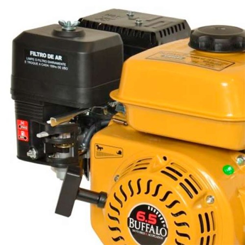 Motores a Gasolina e Diesel